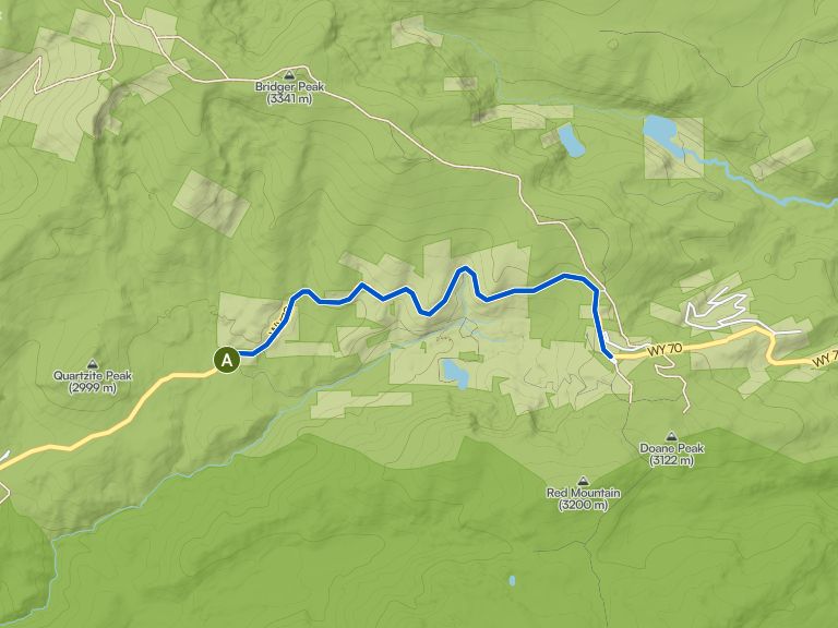 Battle Pass Scenic Byway (strona zachodnia) — Medicine Bow National ...